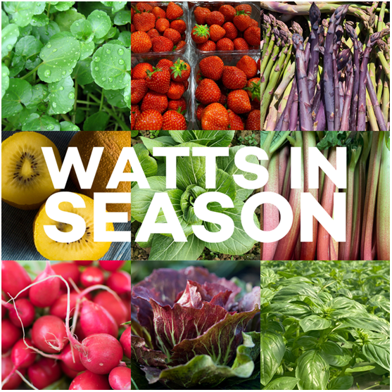 Watts in Season - June – Watts Farms