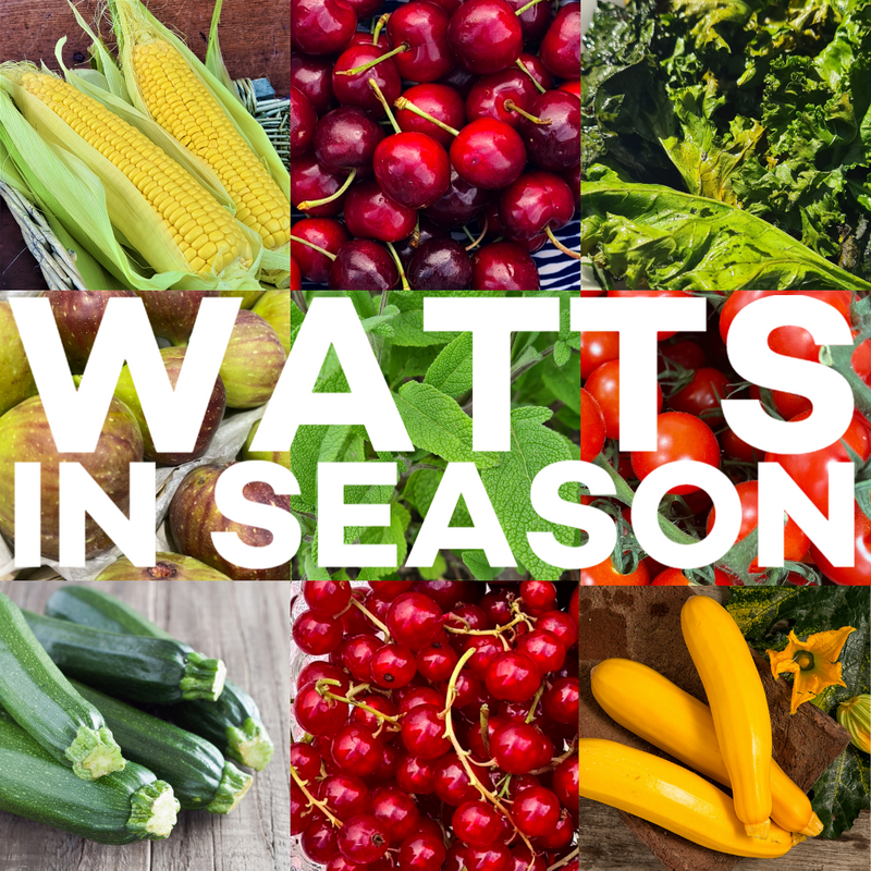 Watts in Season - August – Watts Farms