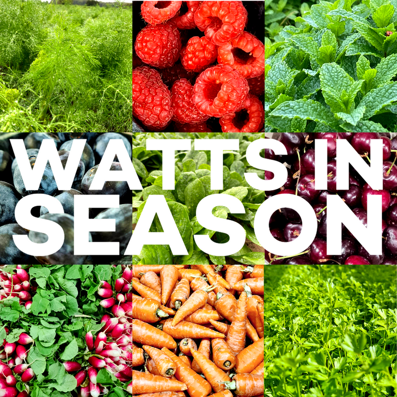 Watts in Season July – Watts Farms