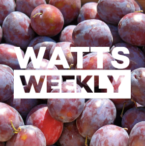 Watts Weekly 10/08 – Watts Farms