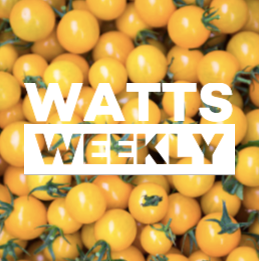Watts Weekly 24/08 – Watts Farms