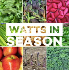 Watts in season - April – Watts Farms