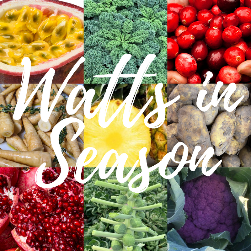 Watts in Season December – Watts Farms