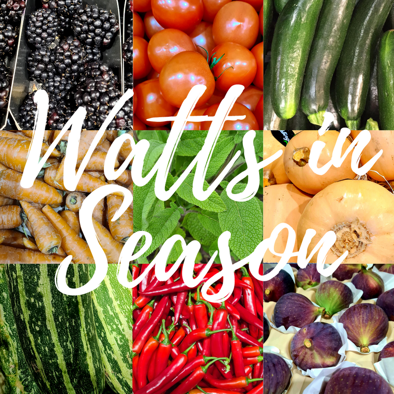 Watts in Season October – Watts Farms