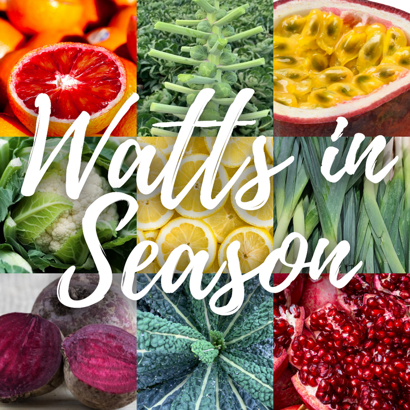 Watts In Season January – Watts Farms