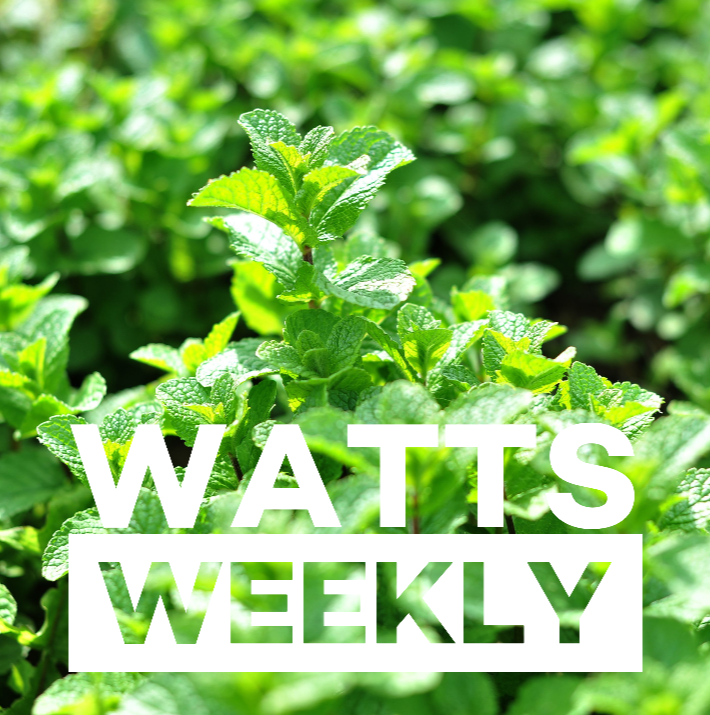Watts Weekly – Watts Farms