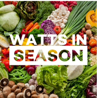 Watts in Season - July 2020 – Watts Farms