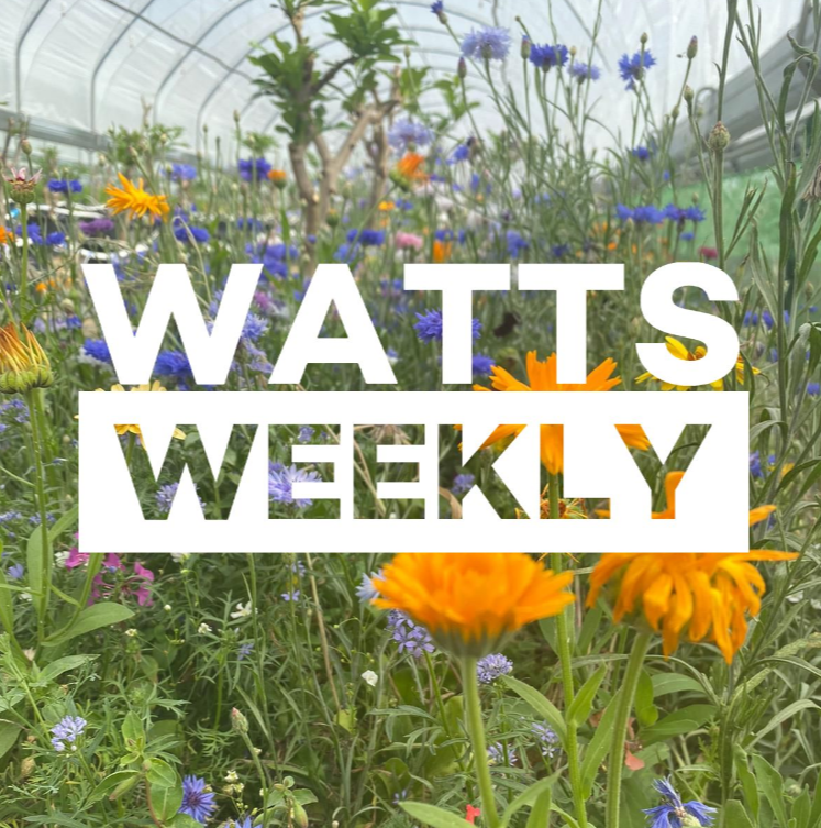 Watts Weekly - 20/07 – Watts Farms