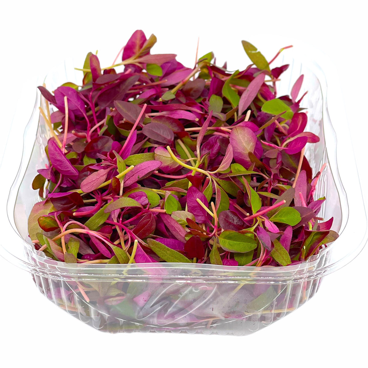 Baby Cress Red Amaranth - 30g – Watts Farms