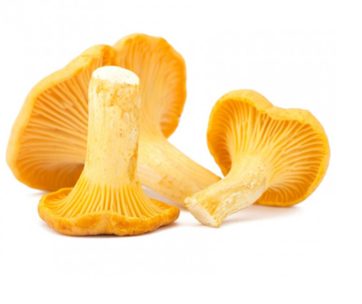 Girolle Mushrooms - 100g – Watts Farms