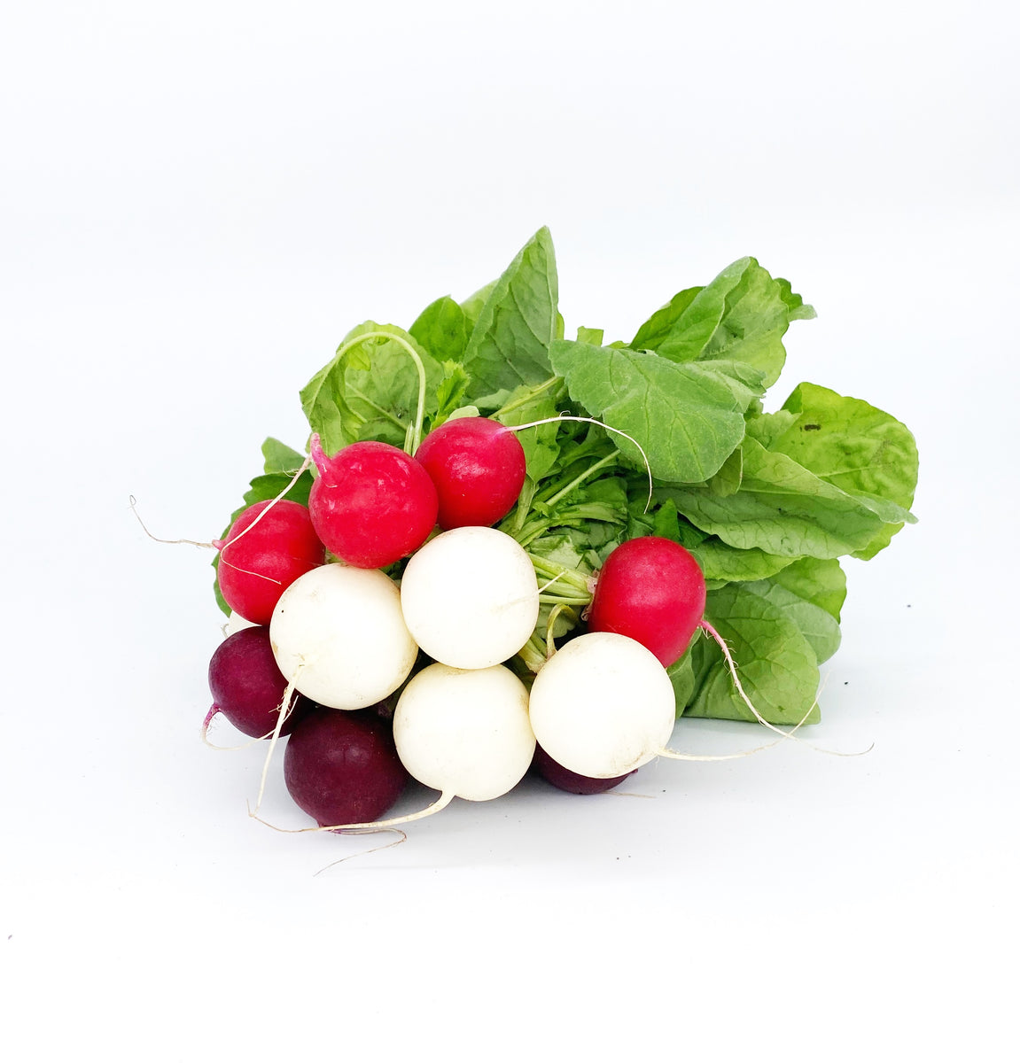 Radish - Heritage Mixed Colour - Bunch – Watts Farms